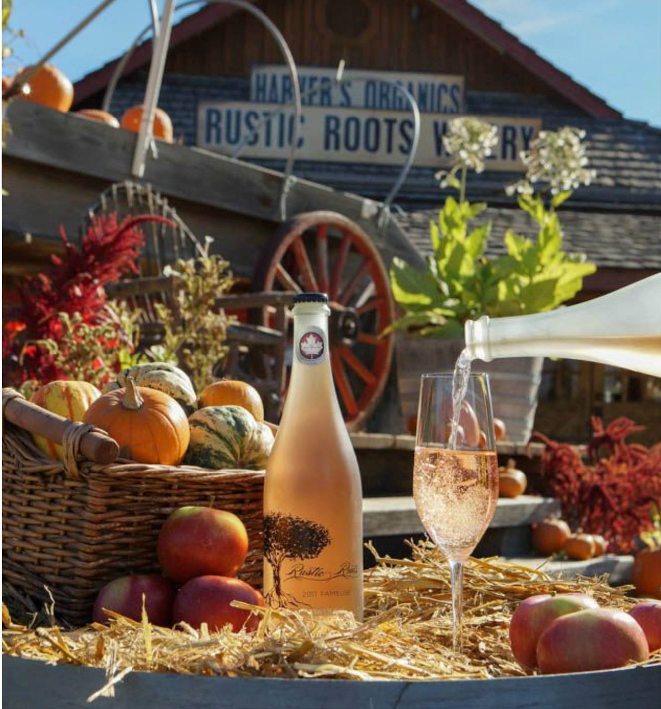 Winemakers in the Spotlight: RUSTIC ROOTS - Osoyoos Hotels | Top Choice ...