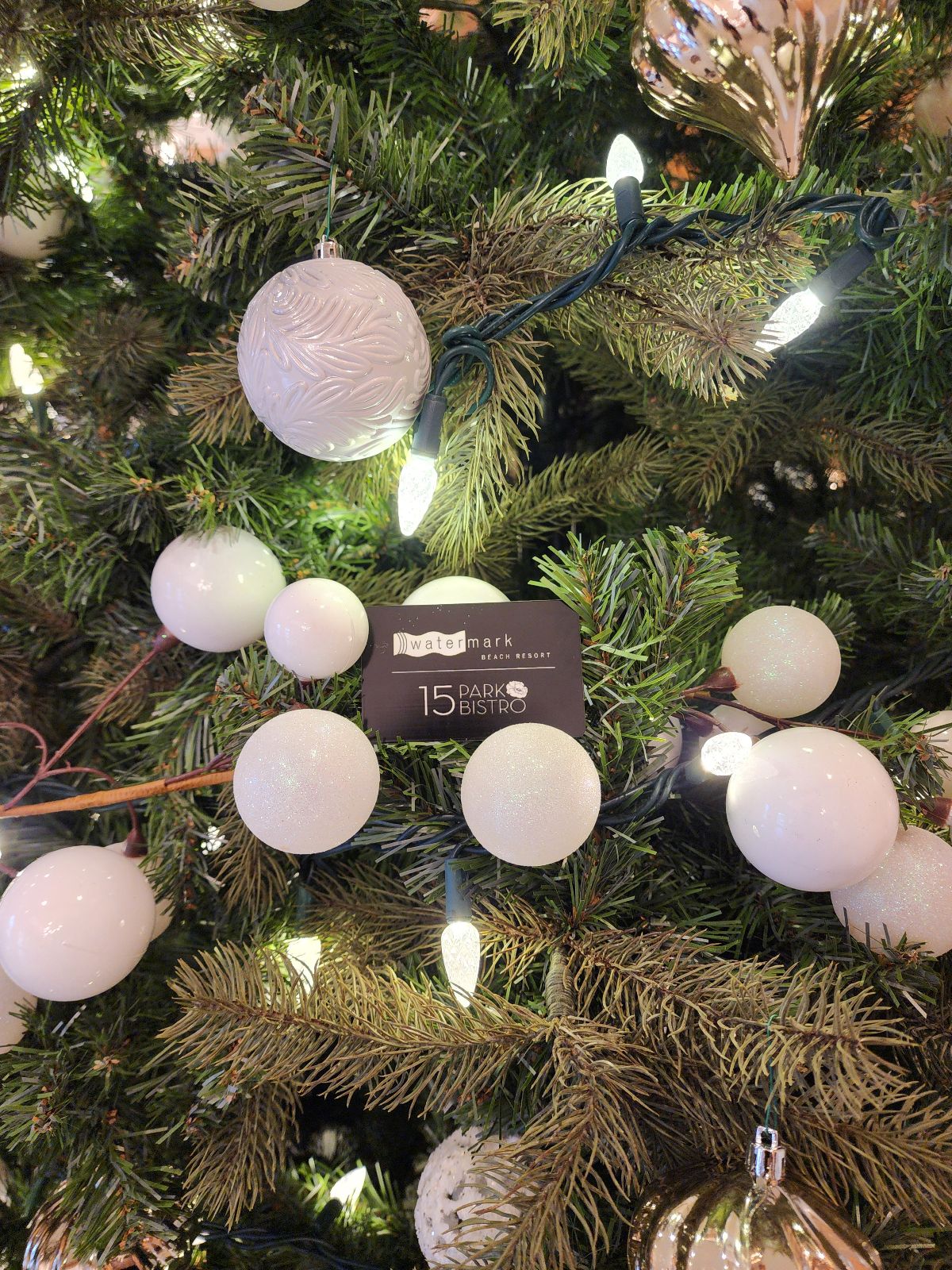 Gift A Watermark Beach Resort Gift Card This Christmas